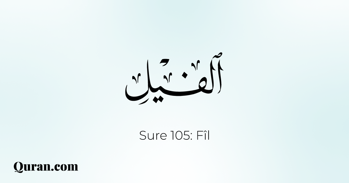 Sure Al-Fil - 1-5 - Quran.com