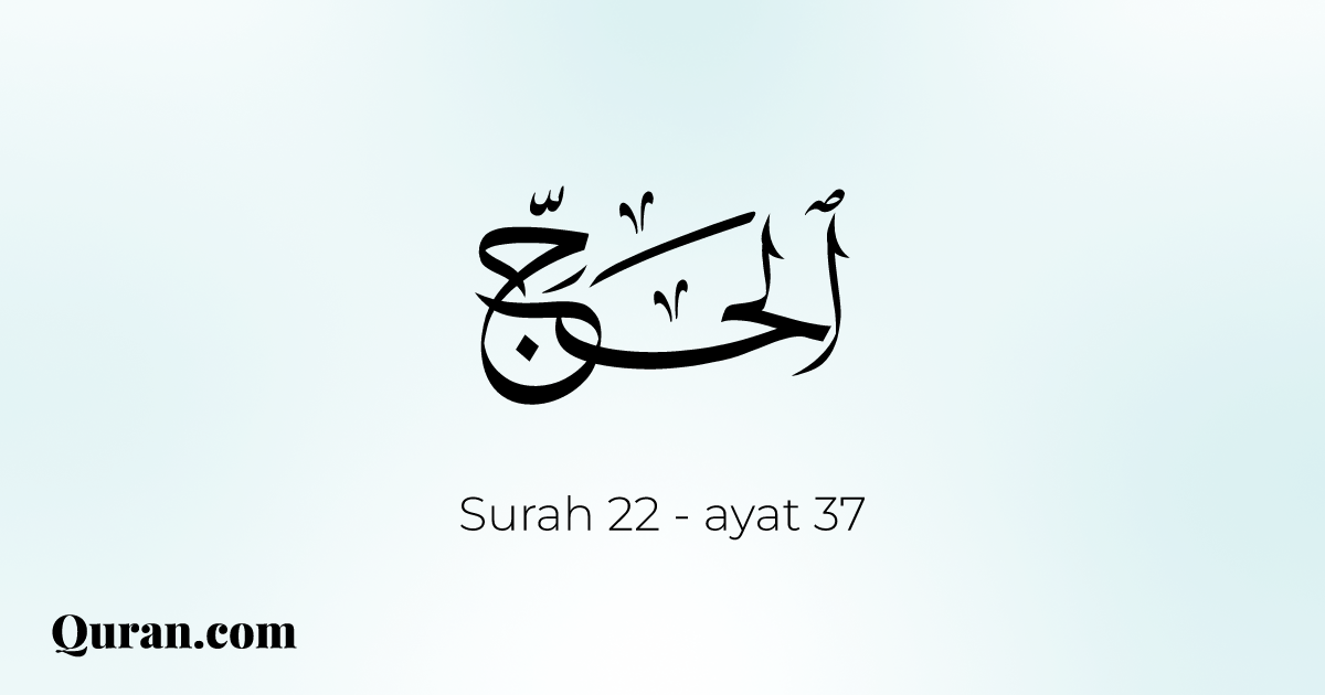 Surah Al-Hajj - 37 - Quran.com