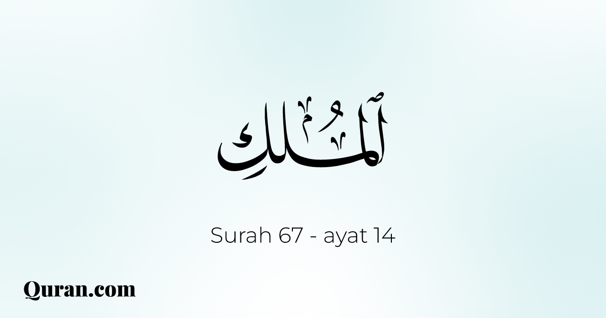 Surah Al-Mulk - 14 - Quran.com