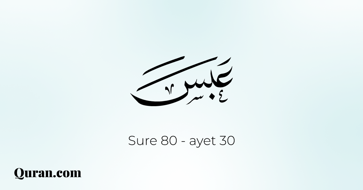 Sure 'Abasa - 30 - Quran.com