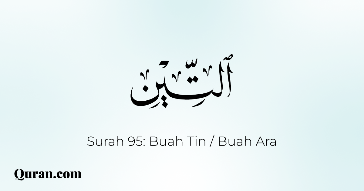 Baca Surah Penuh At-Tiin - Dengar dengan Terjemahan, Transliterasi dan ...